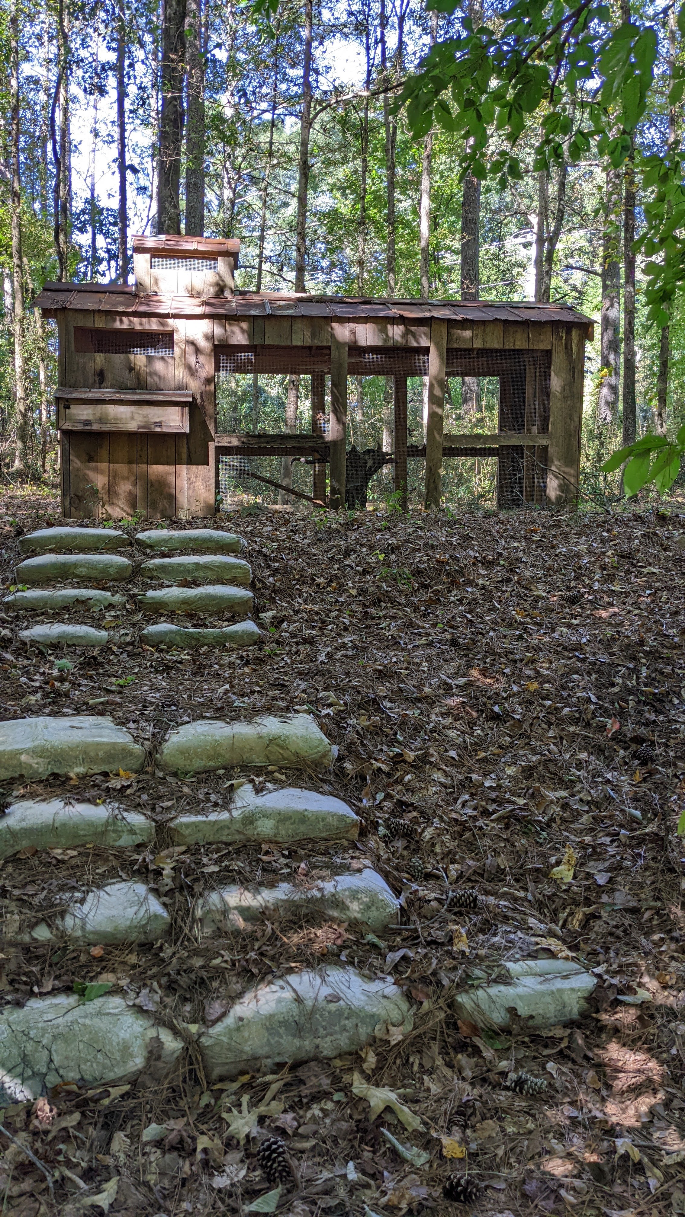 About The Farm – Table Root Farm
